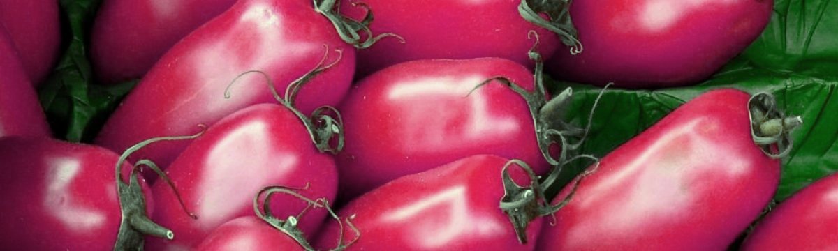 Pomidor urug'lari PINK HORN F1 - Rijder Seeds